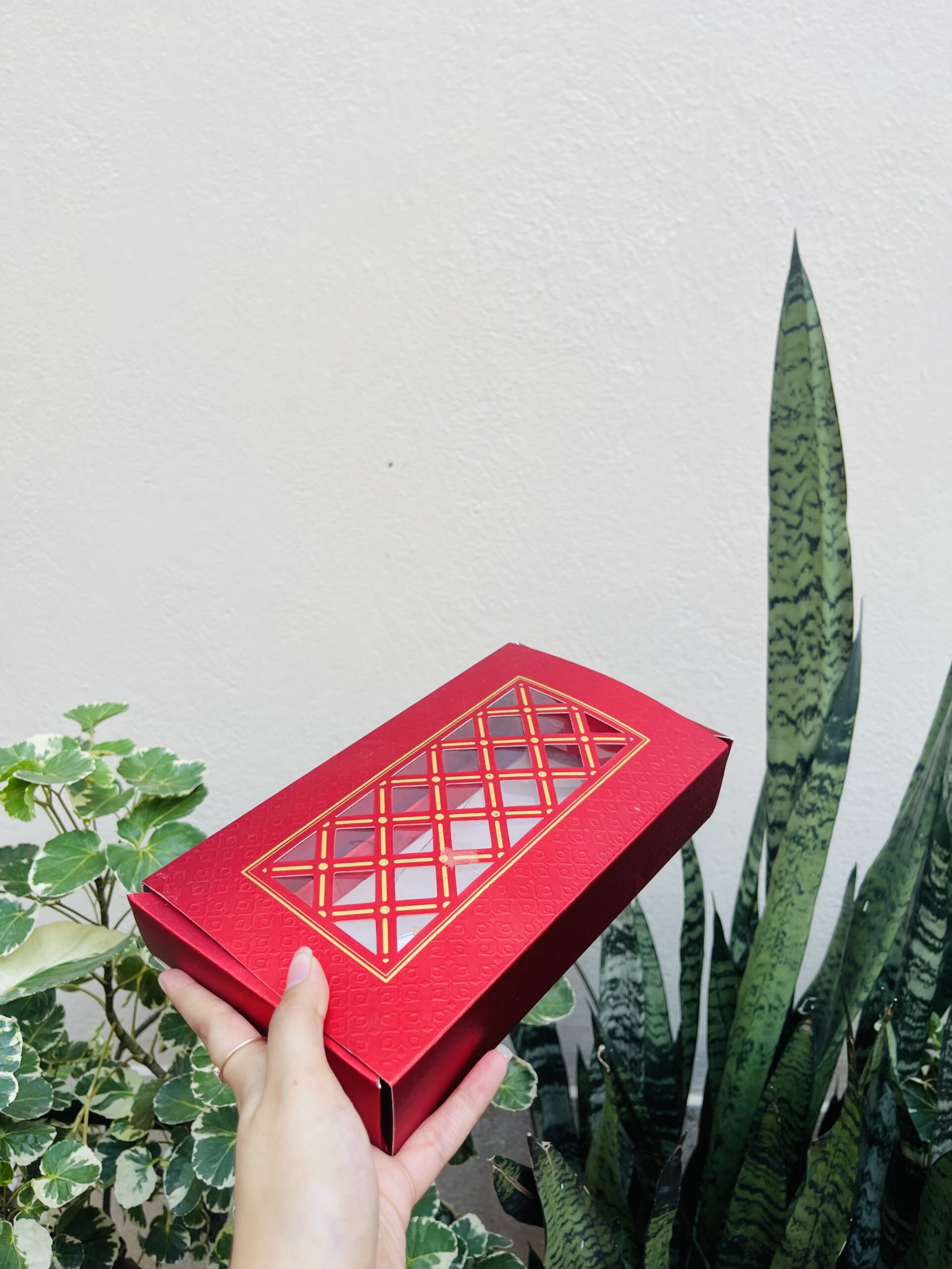 RED CHOCOLATE BOX WITHOUT CAVITY – Decorate It Kolkata