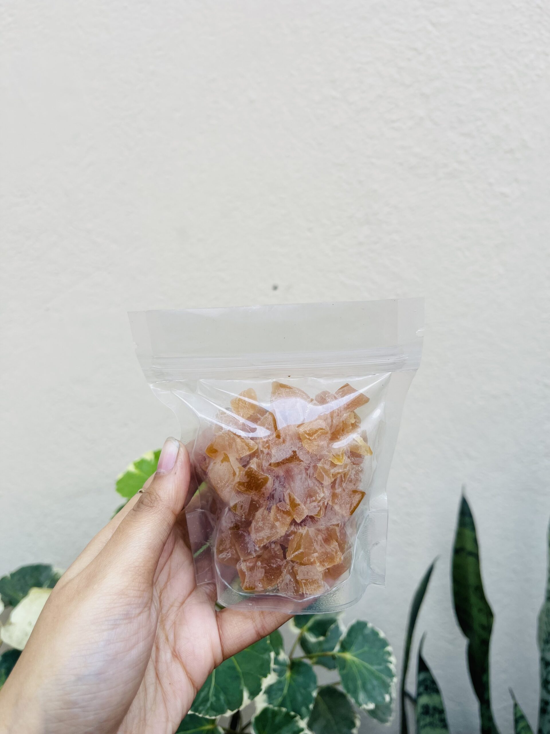 DRIED MANGO BITS-100g – Decorate It Kolkata