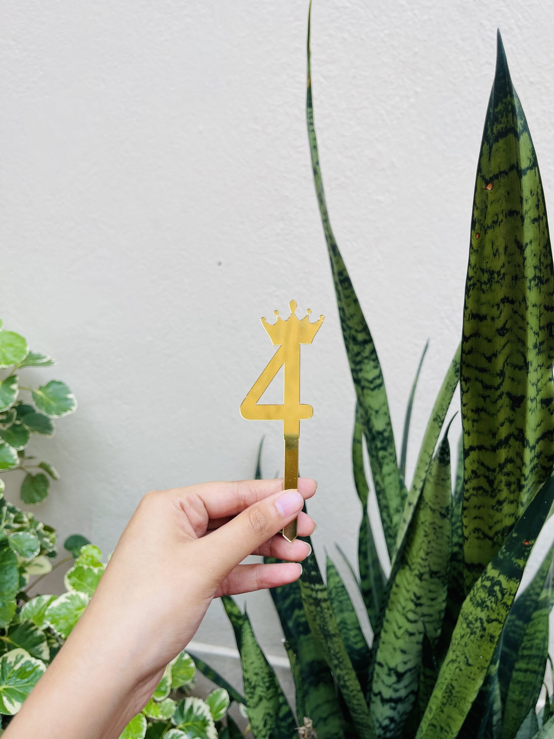4 NUMBER TOPPER 5” – Decorate It Kolkata